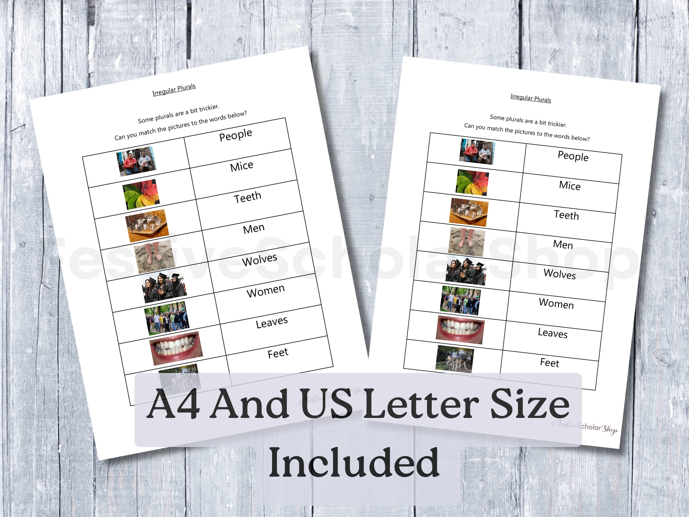 Plurals English Grammar Worksheets for ESL Pupils Homeschool English ...