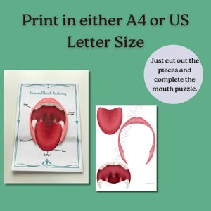 Human Mouth Anatomy Activity High School Biology Resource Secondary ...