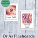 Biology Human Cell Flashcards for Guessing Game Printable Science ...