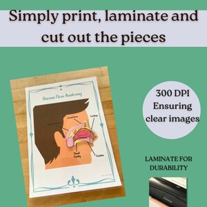 Human Nose Anatomy Activity High School Biology Resource Secondary ...