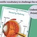 Human Eye Anatomy Printable Worksheet Sense of Sight Activity Biology ...