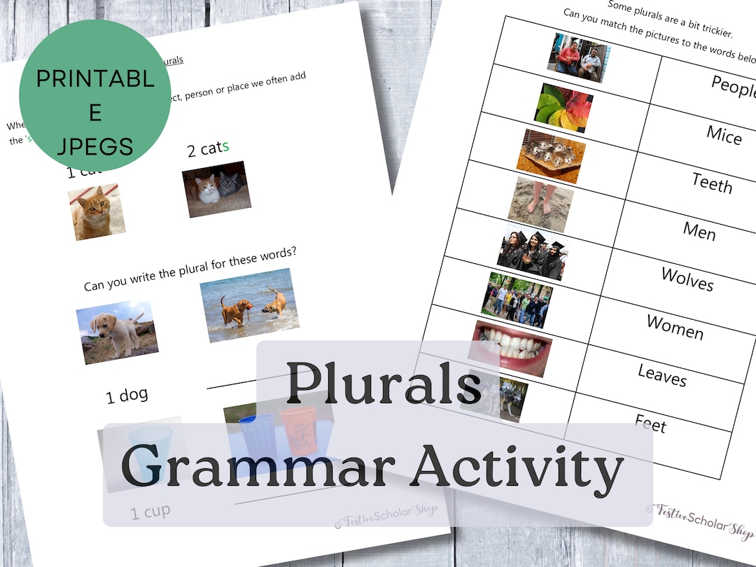 Plurals English Grammar Worksheets for ESL Pupils Homeschool English ...