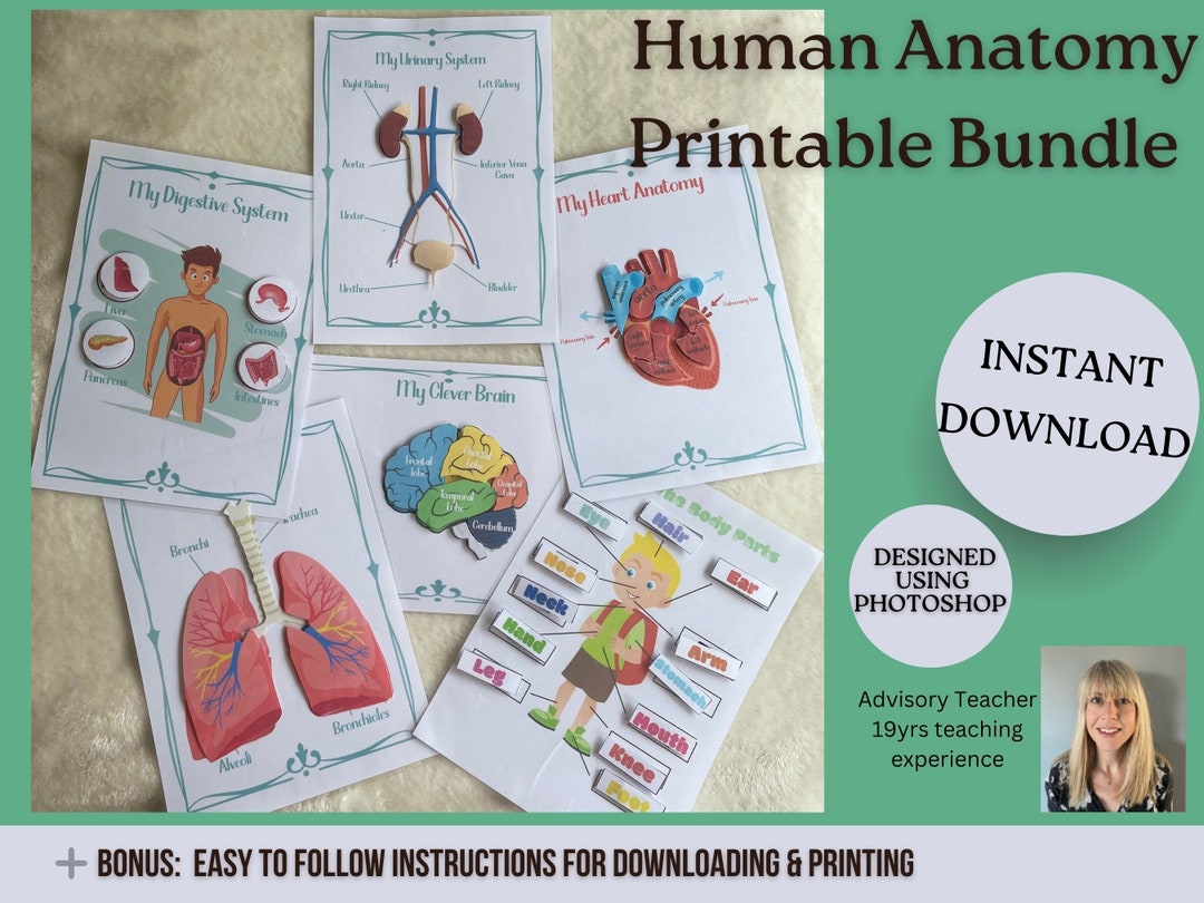 Biology My Body Anatomy Bundle Printable Human Anatomy Worksheets for ...