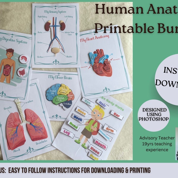 Human Body Organs Printable Book - Etsy