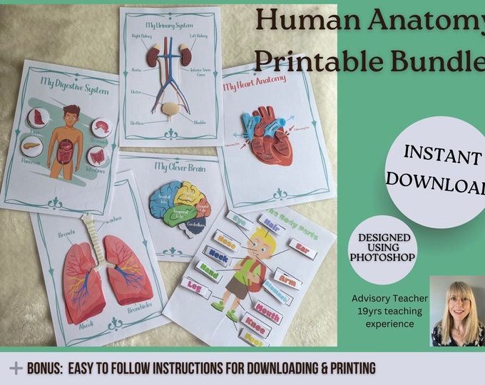 Maniacs- Learn Through Play Human Body Book- Bundle Deal-all Systems ...