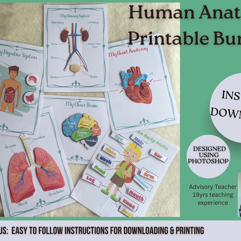 Human Anatomy Printable - Etsy