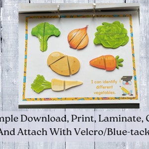 Fruit and Vegetable Activity Printable Vegetable and Fruit Puzzles ...