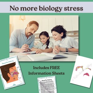 Human Nose Anatomy Activity High School Biology Resource Secondary ...