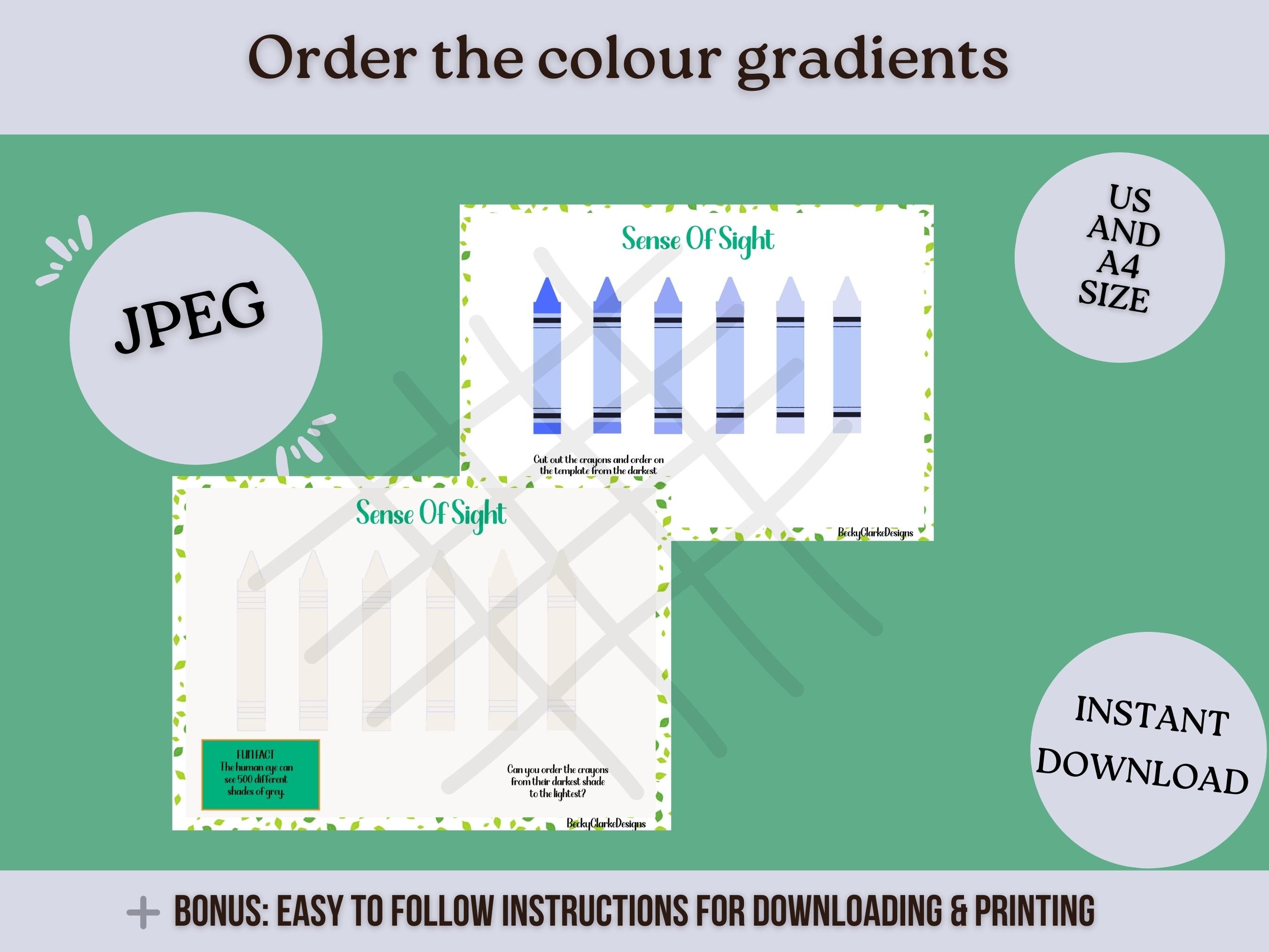 Five Senses Teaching Activities Teacher 5 Senses Printable Montessori ...