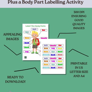 Science Anatomy Ultimate Bundle Printable Human Anatomy Worksheets for ...