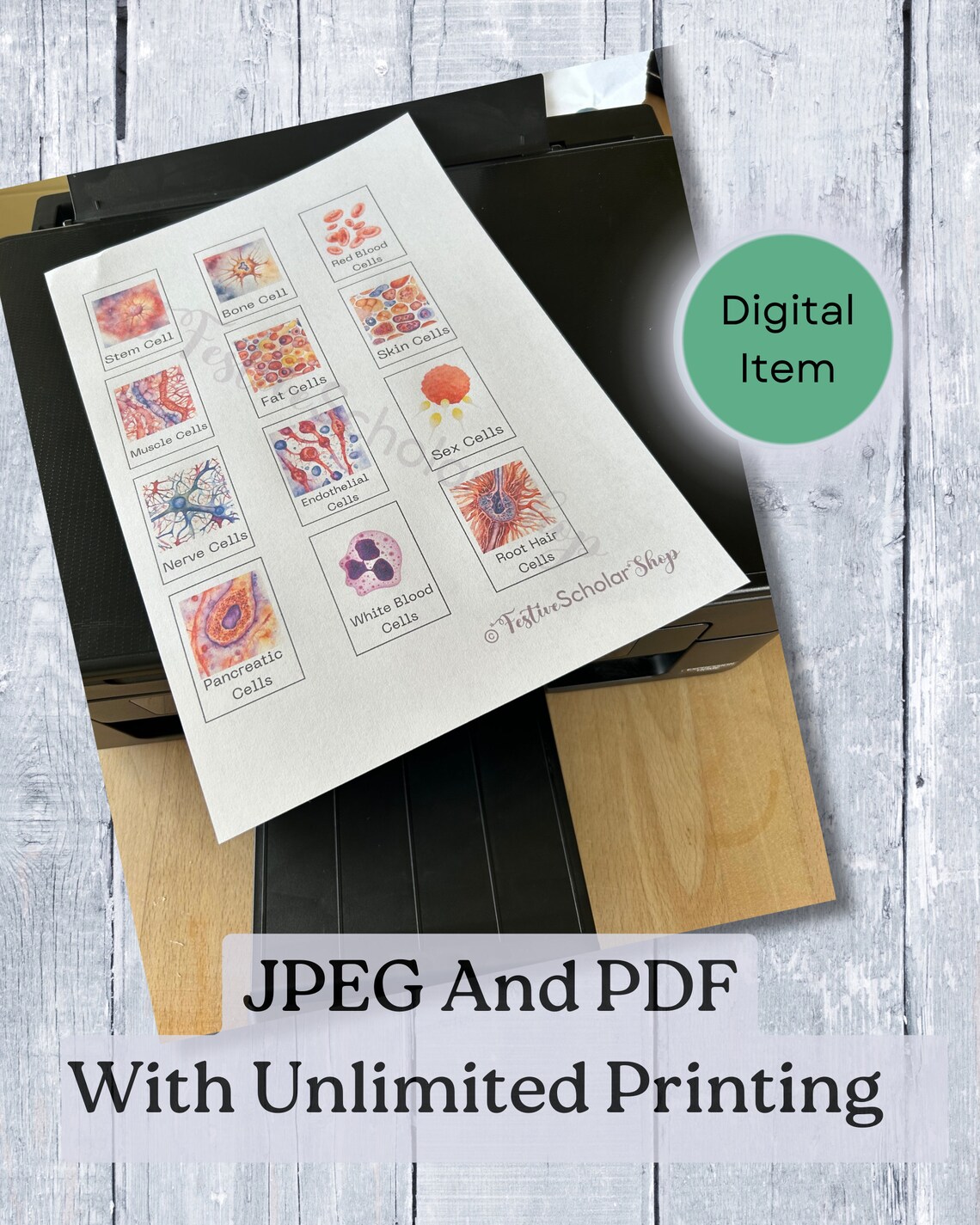 Biology Human Cell Flashcards for Guessing Game Printable Science ...