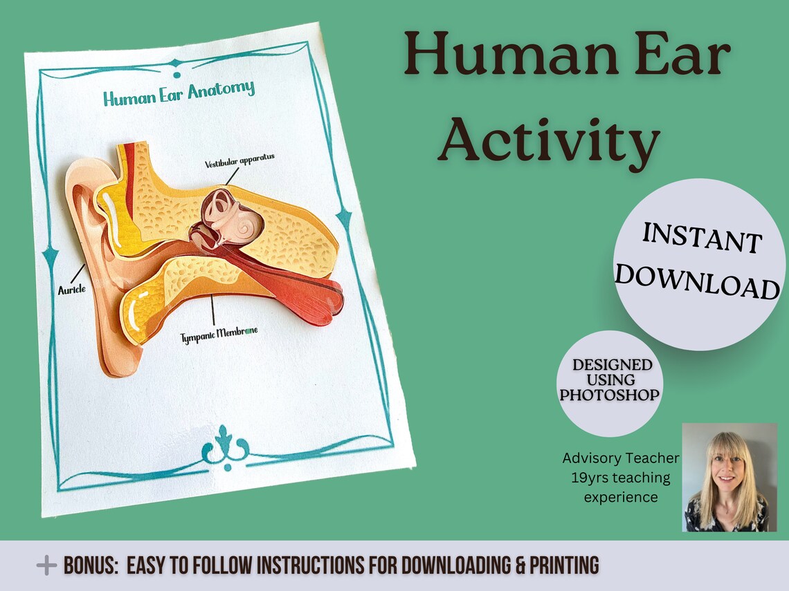 Ear Anatomy Printable Worksheet Anatomy of the Ear Teaching Resource ...