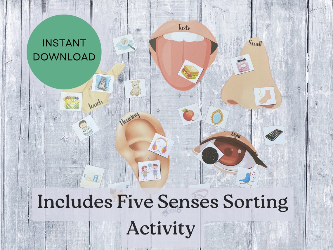 Five Senses Activities Printable for the 5 Senses Activity Montessori ...