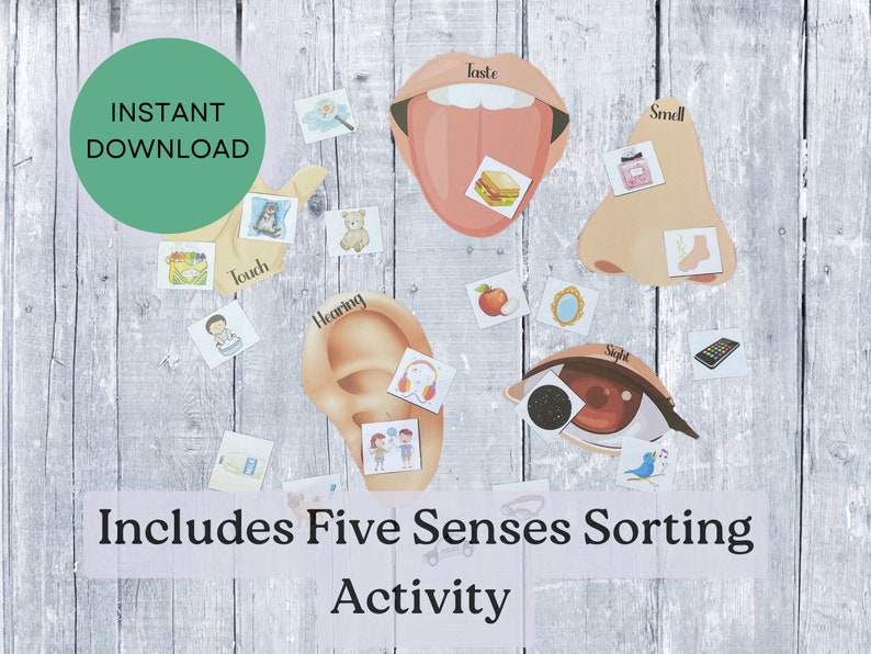 Five Senses Activities Printable for the 5 Senses Activity Montessori ...