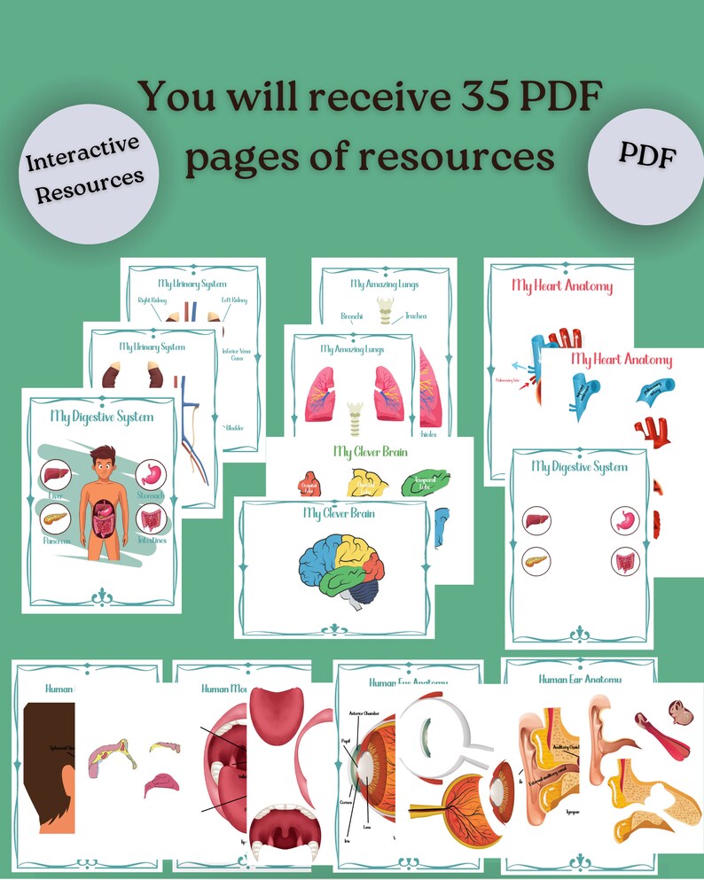Biology Anatomy Ultimate Bundle Printable Human Anatomy Worksheets for ...