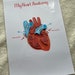 Heart Anatomy Labelling Activity Printable Parts of the Heart Resources ...