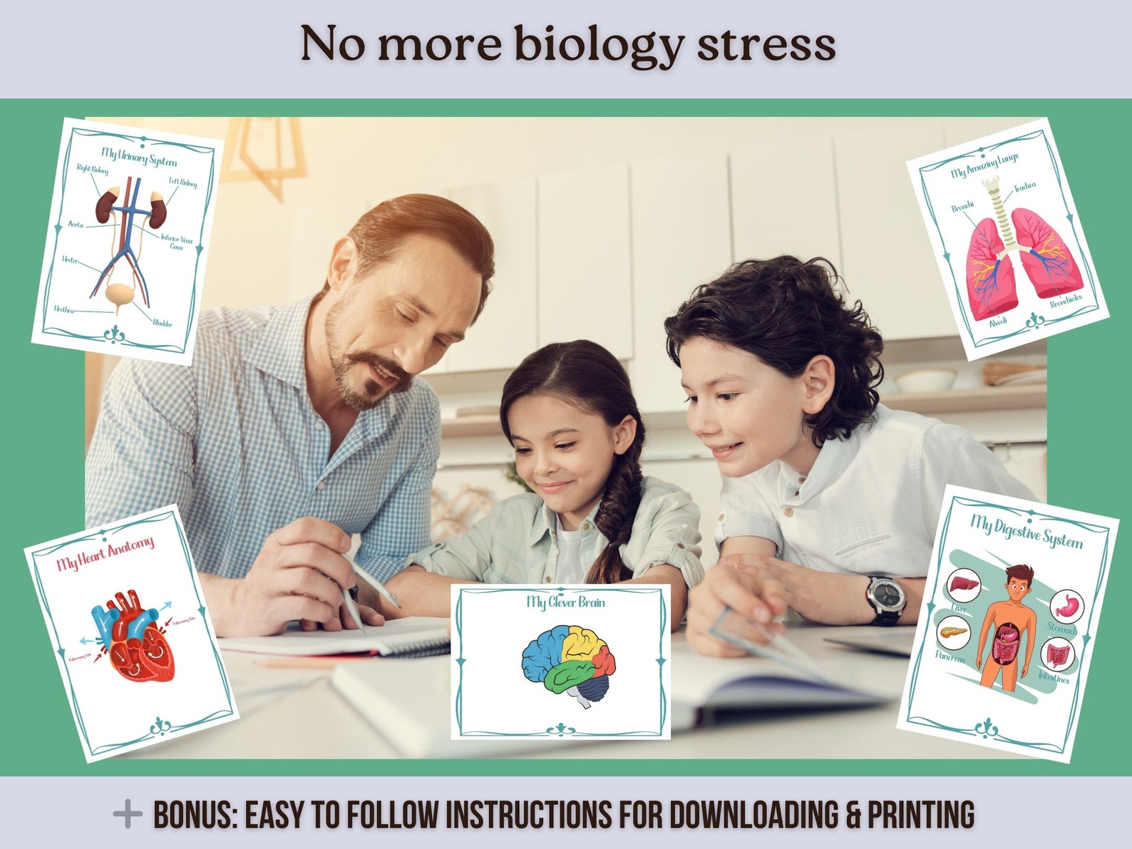 Biology My Body Anatomy Bundle Printable Human Anatomy Worksheets for ...