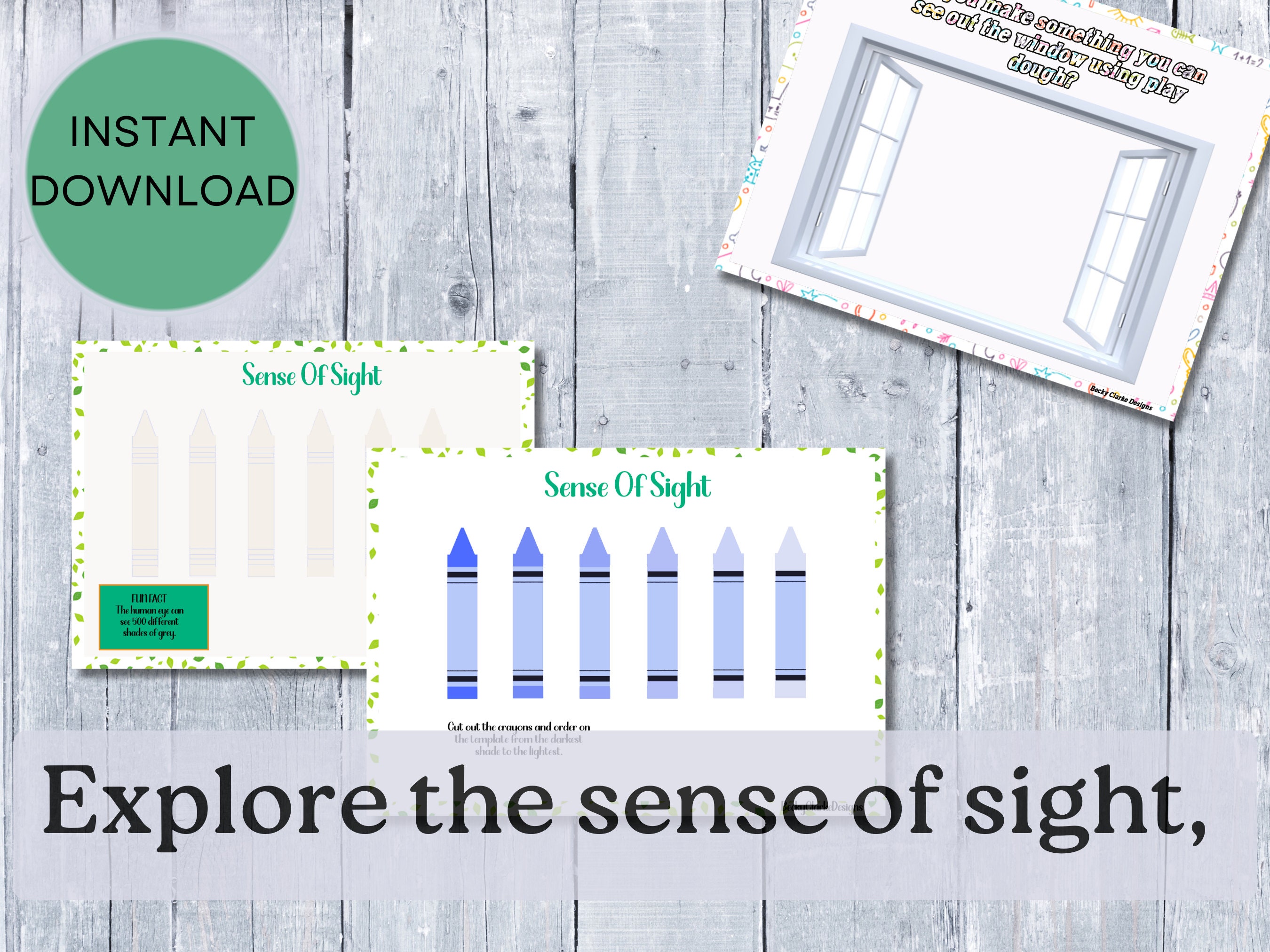 Five Senses Activities Printable for the 5 Senses Activity Montessori ...