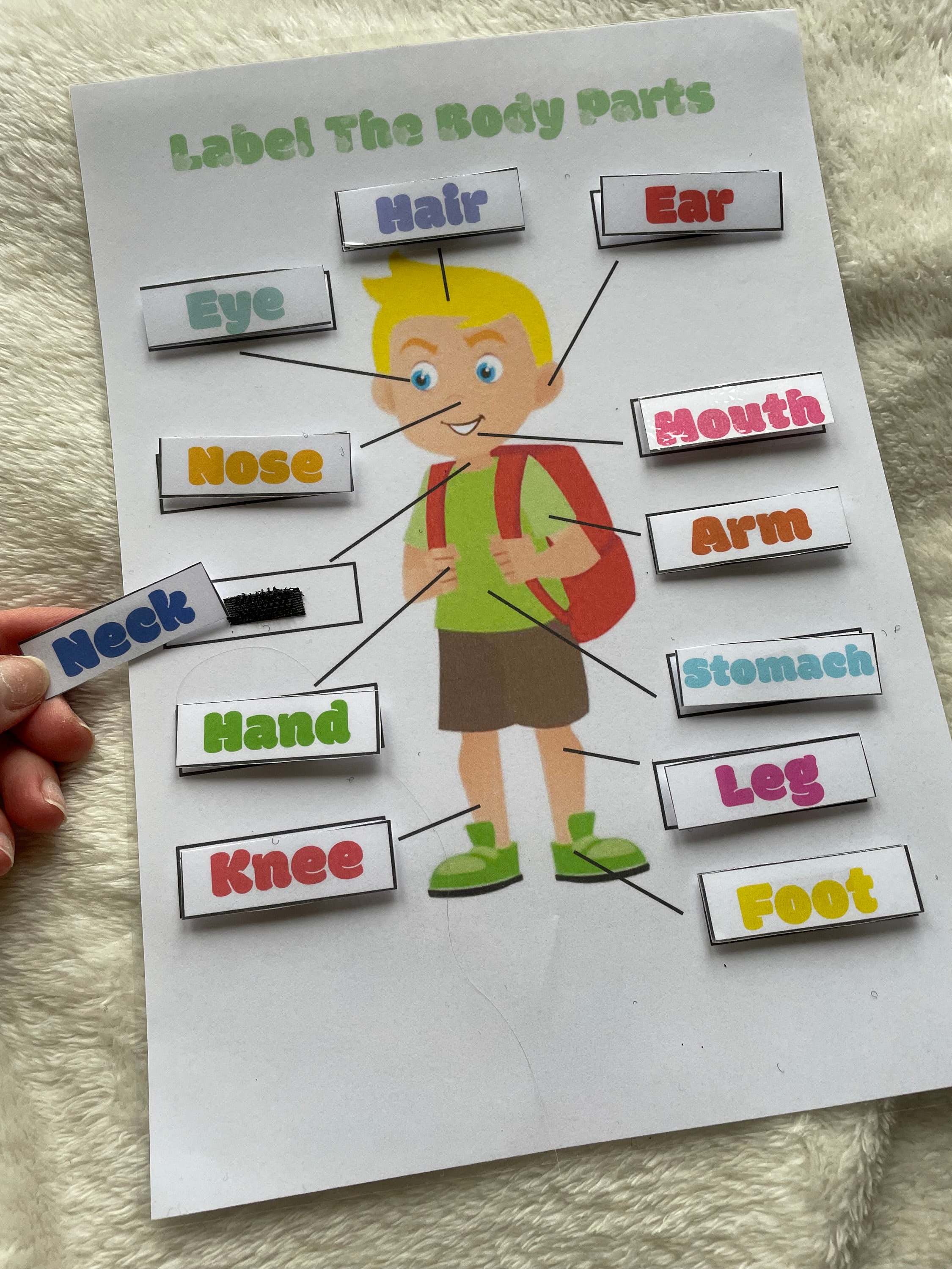 Body Parts Activity Printable My Body Early Years Resources Homeschool ...