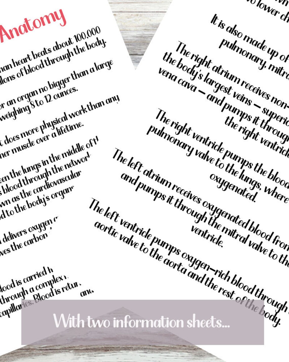 Heart Anatomy Labelling Activity Printable Parts of the Heart Resources ...