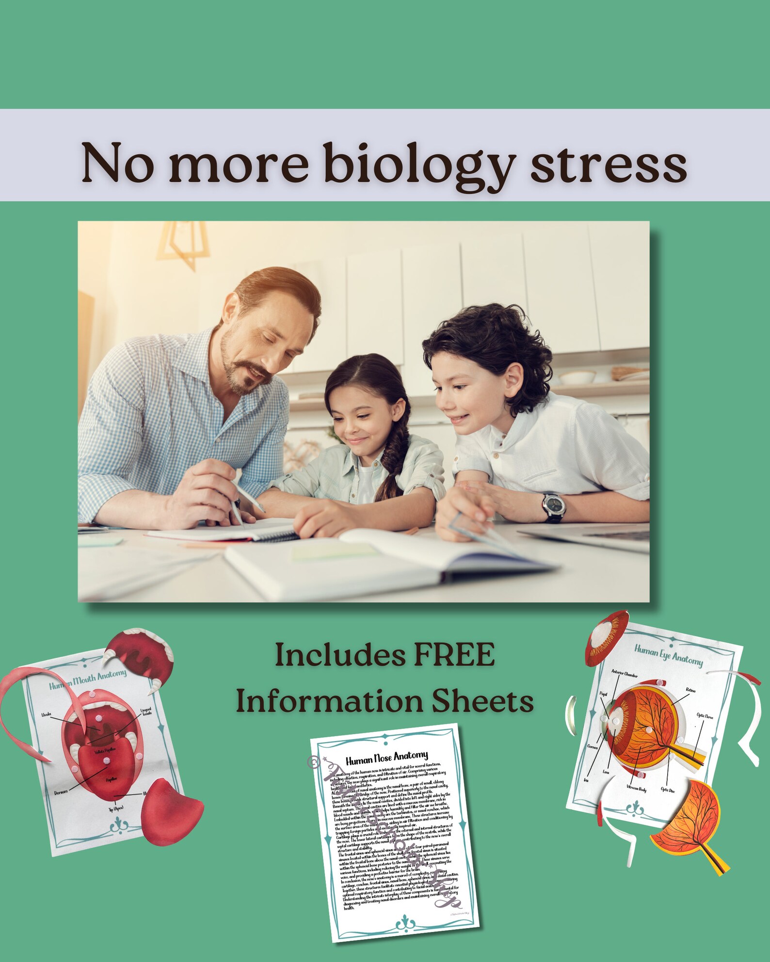 Biology Five Senses Anatomy Bundle Printable Human Body Worksheets for ...