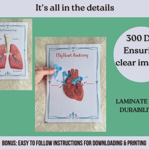 Biology My Body Anatomy Bundle Printable Human Anatomy Worksheets for ...