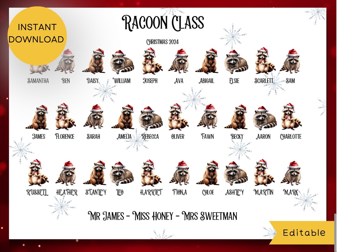 Racoon Pupil Gift Personalised Printable Thank You Teacher Gift for ...