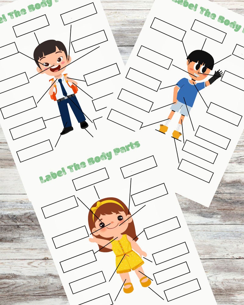 Body Parts Activity Printable My Body Early Years Resources Homeschool ...