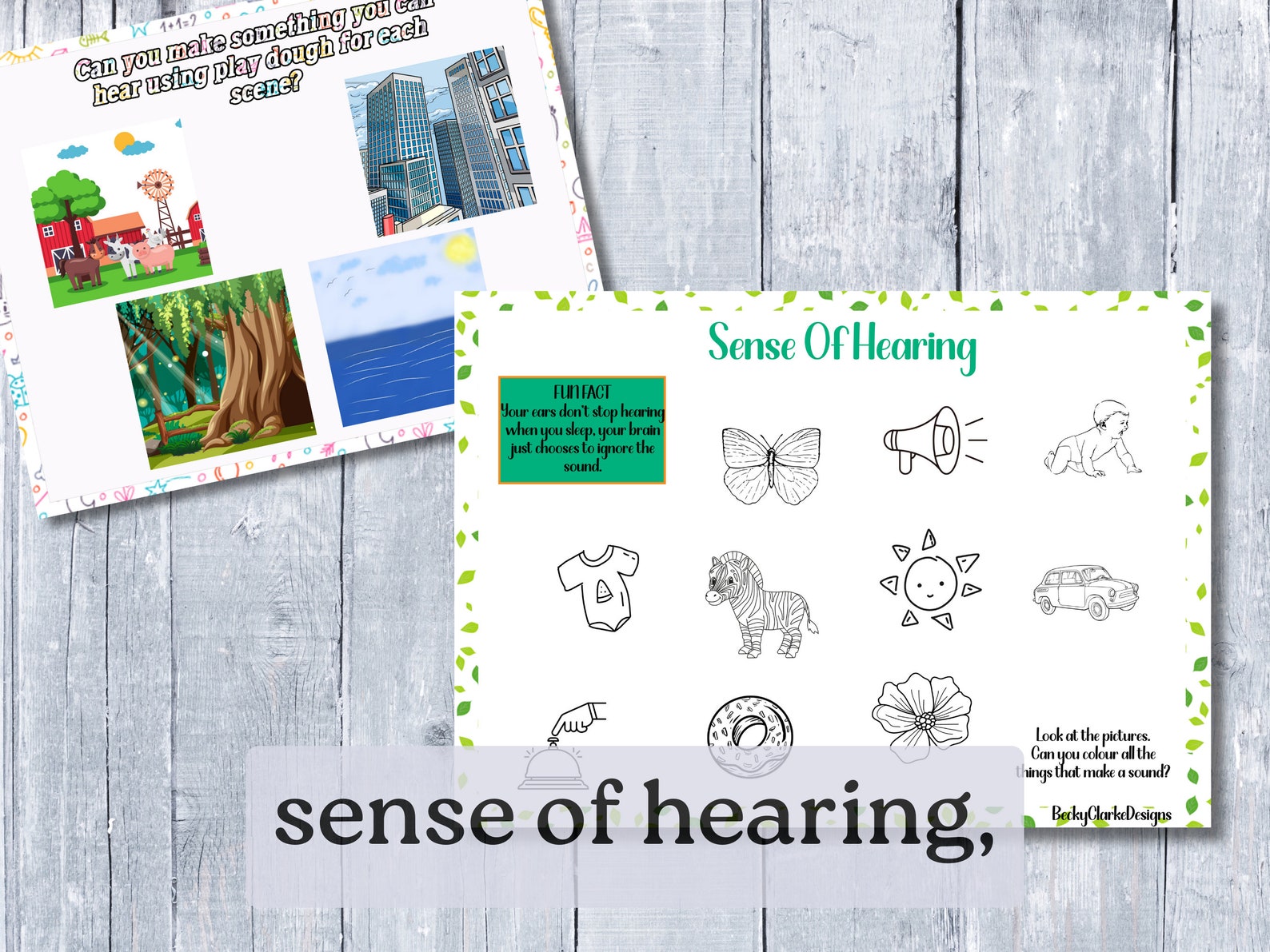 Five Senses Activities Printable for the 5 Senses Activity Montessori ...