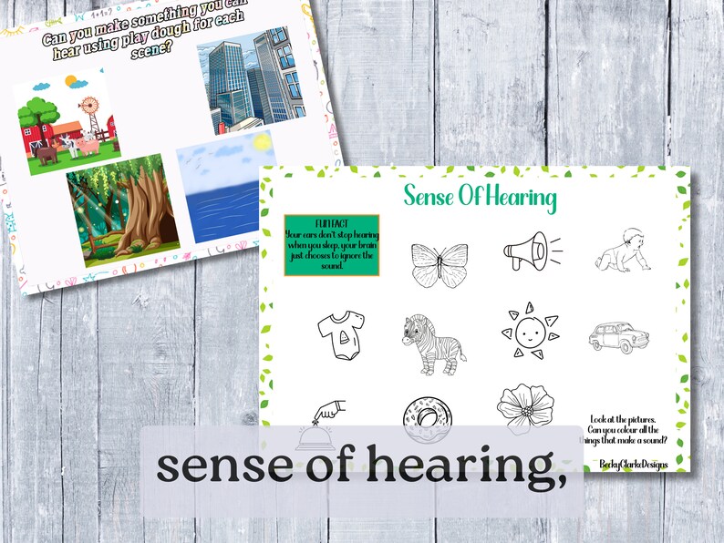 Five Senses Activities Printable for the 5 Senses Activity Montessori ...
