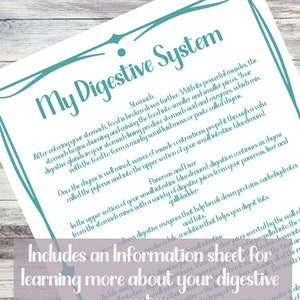 Digestive System Activity Printable Digestive System Resources ...