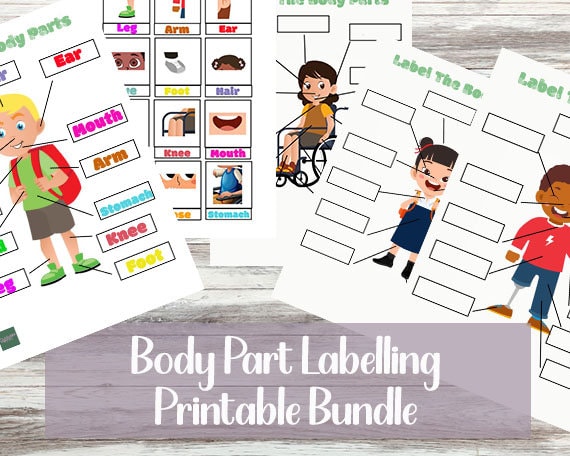 Body Parts Activity Printable My Body Early Years Resources Homeschool ...