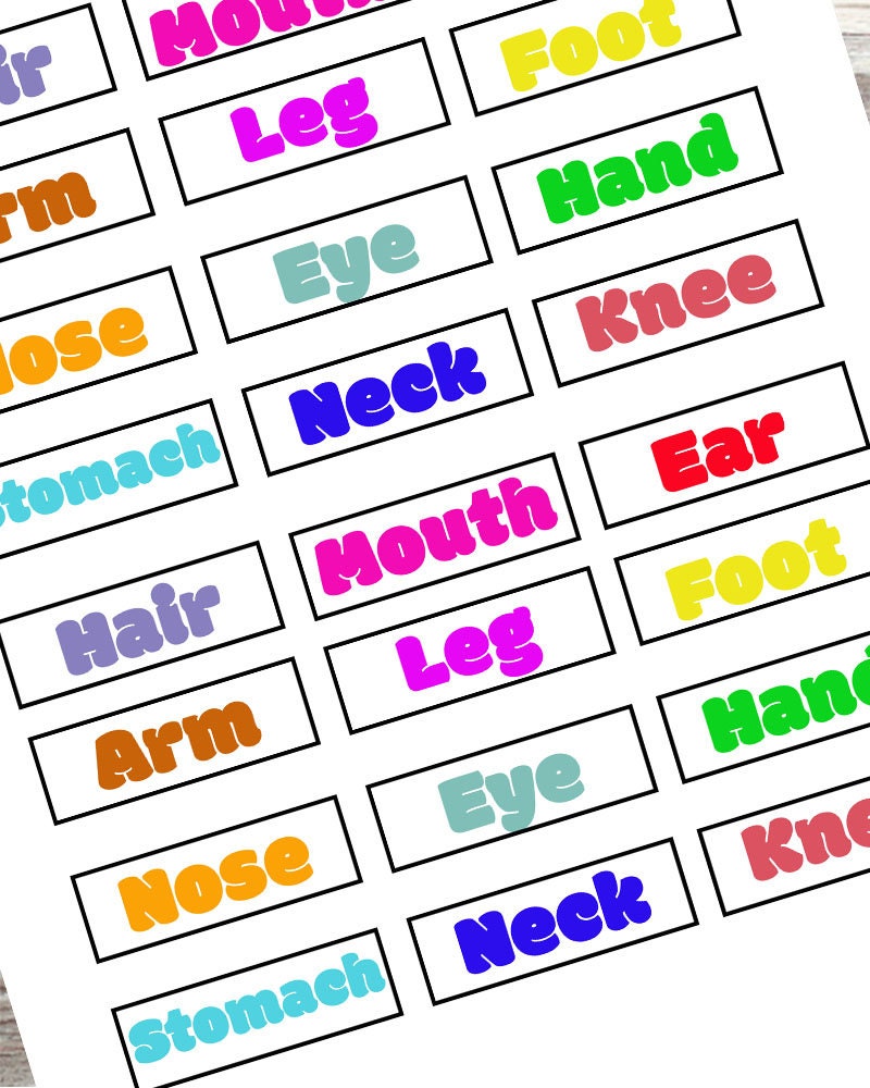 Body Parts Activity Printable My Body Early Years Resources Homeschool ...