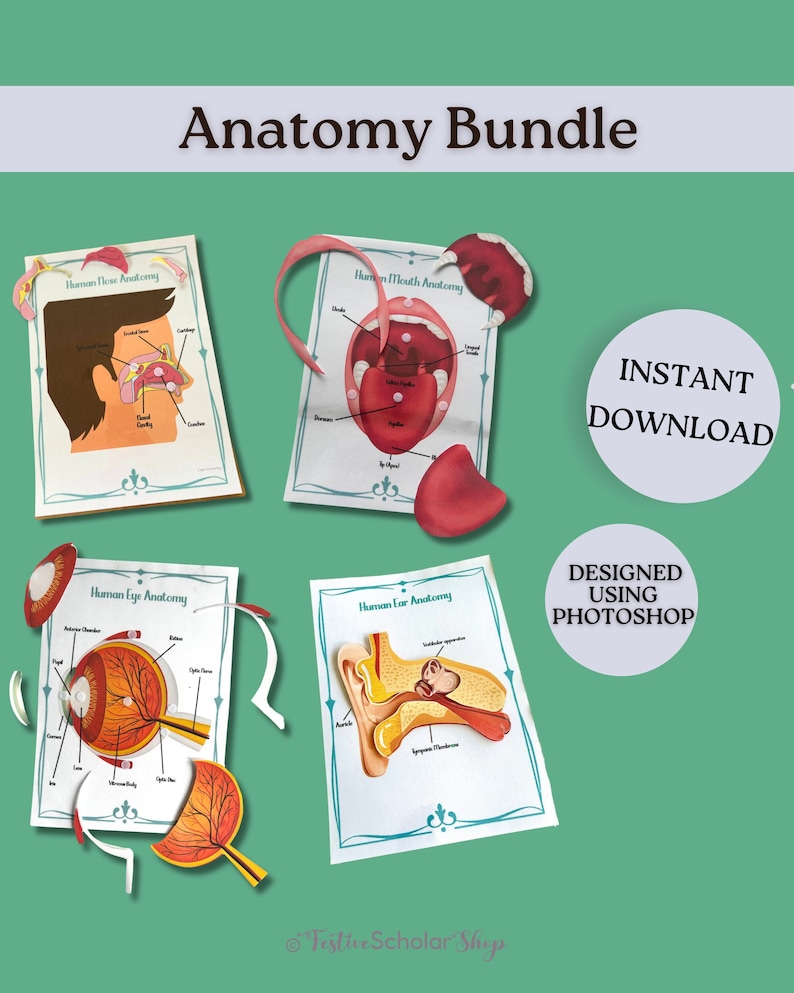 Biology Five Senses Anatomy Bundle Printable Human Body Worksheets for ...