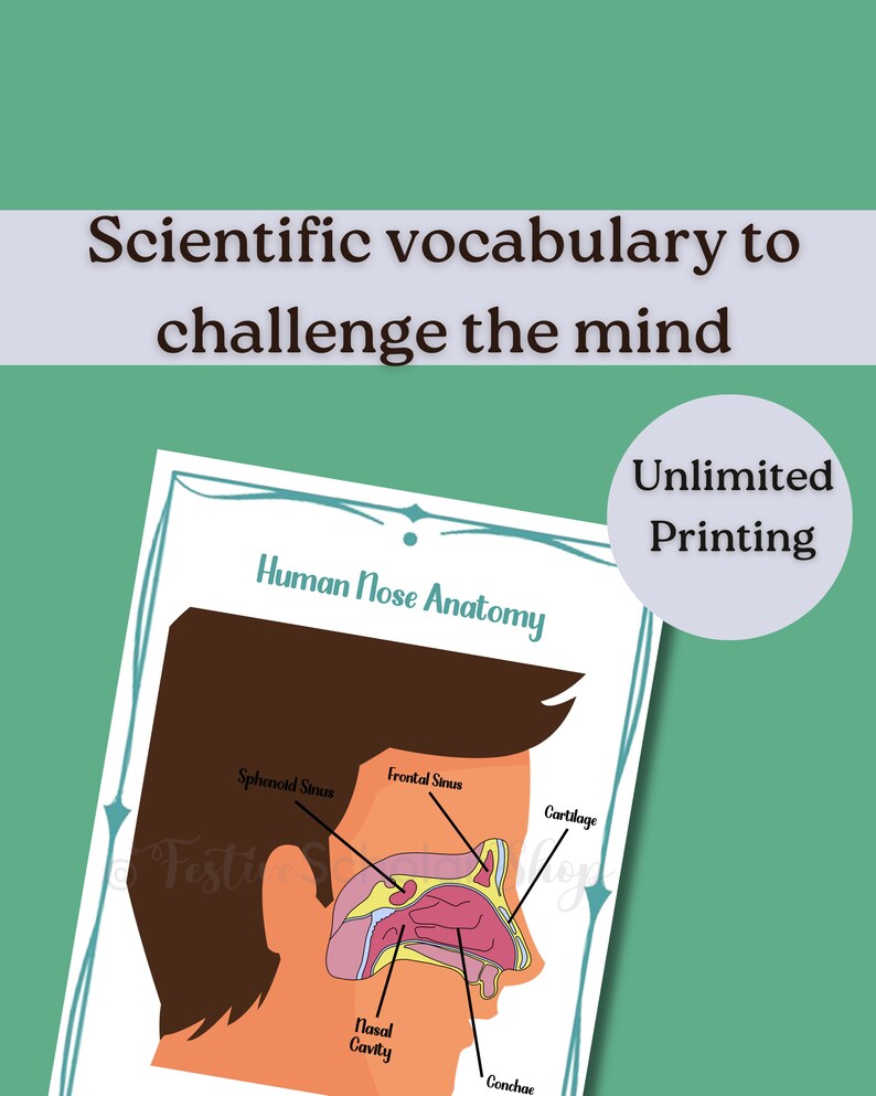 Human Nose Anatomy Activity High School Biology Resource Secondary ...