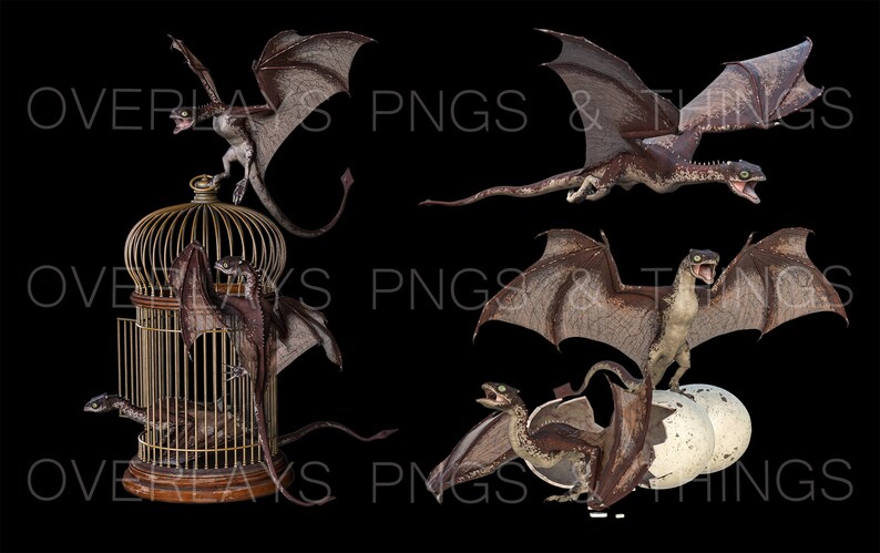 Baby Dragon Overlays PNG Photoshop Overlays Dragon Digital Art Digital ...