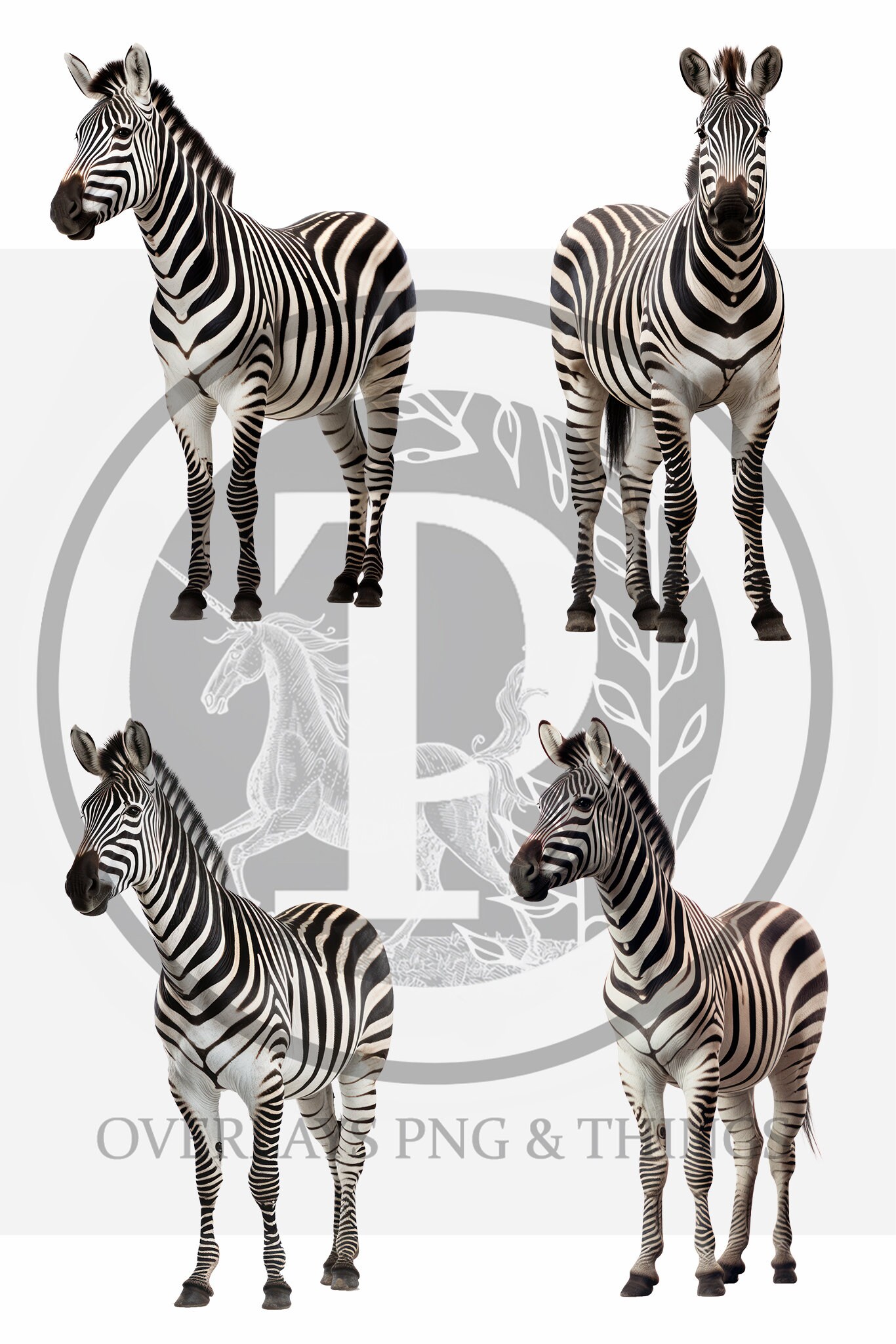 Zebra Digital Overlays PNG Overlays Animal Clipartzebra - Etsy