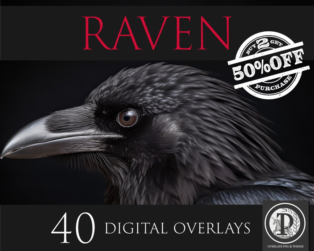 Raven Digital Overlaysraven PNG Overlays Animal Clipart - Etsy