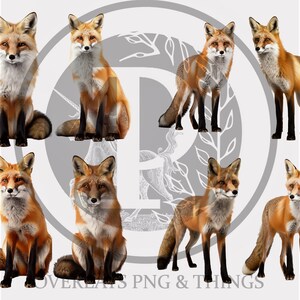 Fox Digital Overlays, PNG Overlays, Animal Clipart, Animal Overlays ...