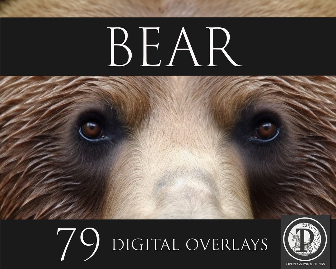 Bear Digital Overlays, PNG Overlays, Animal Clipart, Animal Overlays ...
