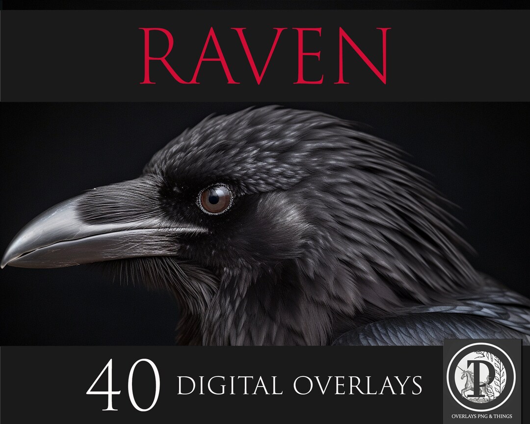 Raven Digital Overlays,raven PNG Overlays, Animal Clipart, Animal ...