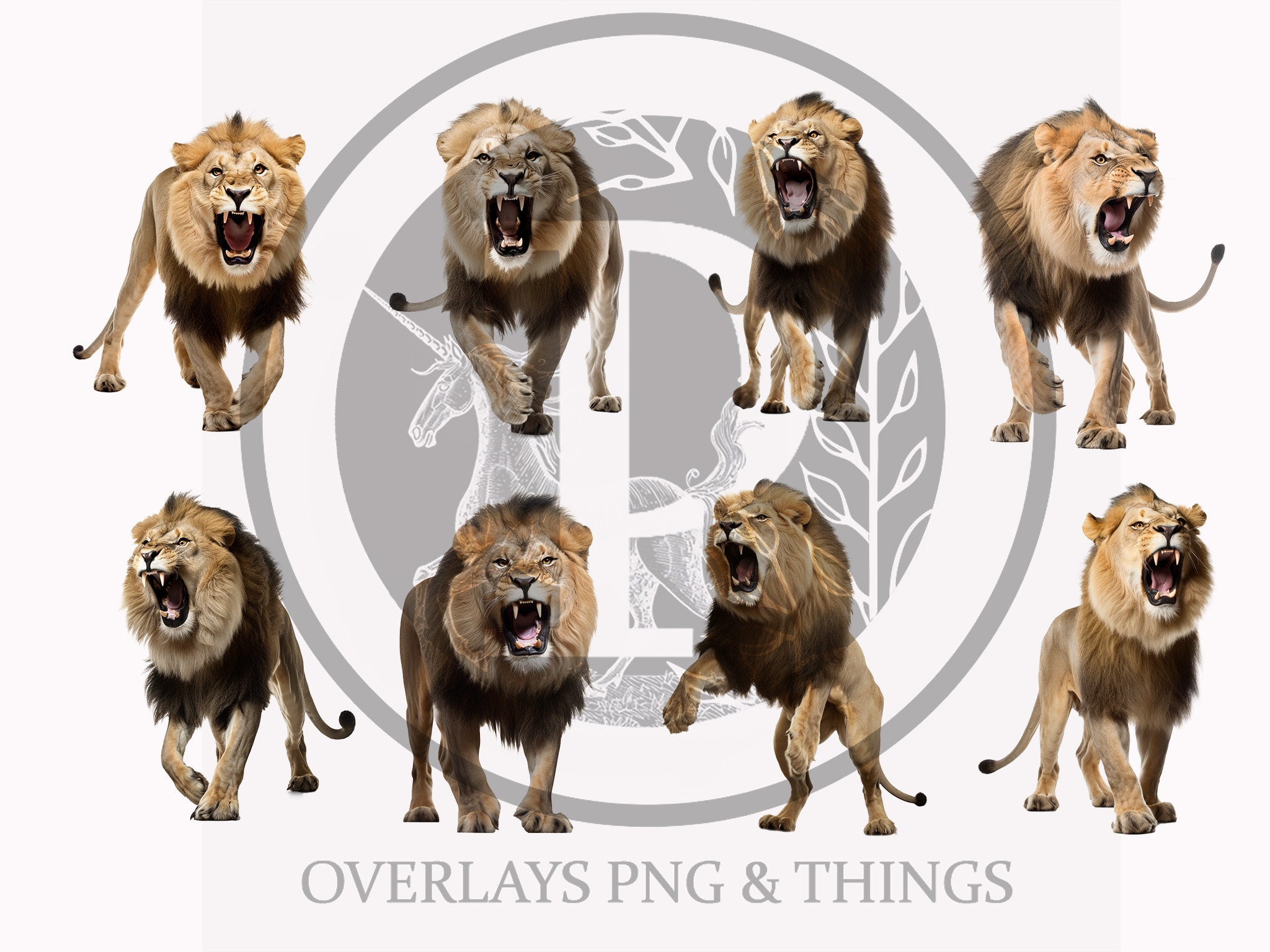 Lion Digital Overlays,lion Clipart,png Overlays,animal Overlays ...