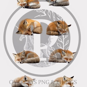 Fox Digital Overlays, PNG Overlays, Animal Clipart, Animal Overlays ...