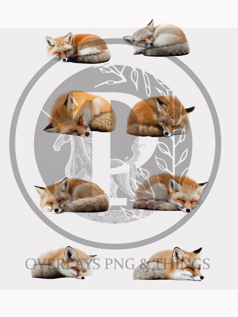Fox Digital Overlays, PNG Overlays, Animal Clipart, Animal Overlays ...