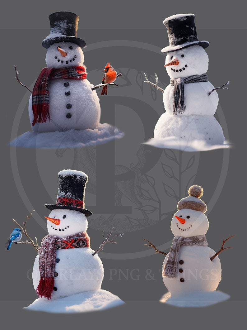 Snowman Digital Overlay Pack / Snowman PNG / Christmas Clipart ...