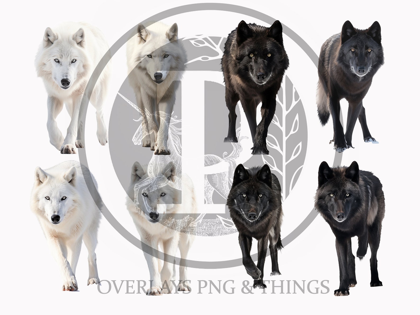 Black Wolf Digital Overlayswhite Wolf PNG Overlays Animal - Etsy