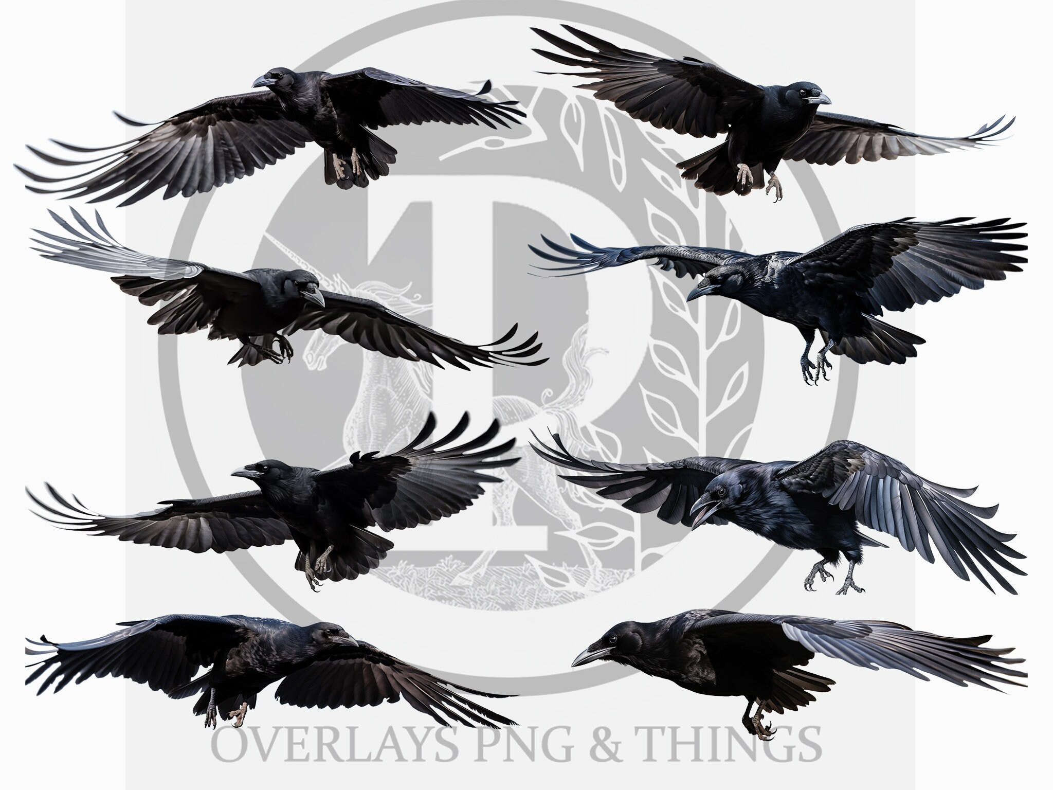 Raven Digital Overlays,raven PNG Overlays, Animal Clipart, Animal ...