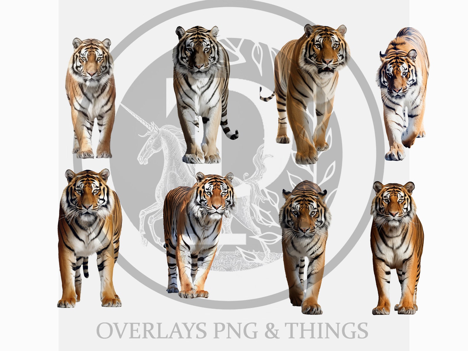 Tiger Digital Overlays,tiger Clipart,png Overlays,animal Overlays ...