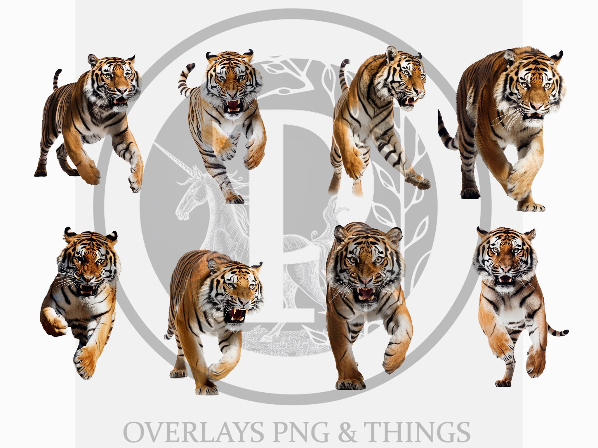 Tiger Digital Overlays,tiger Clipart,png Overlays,animal Overlays ...