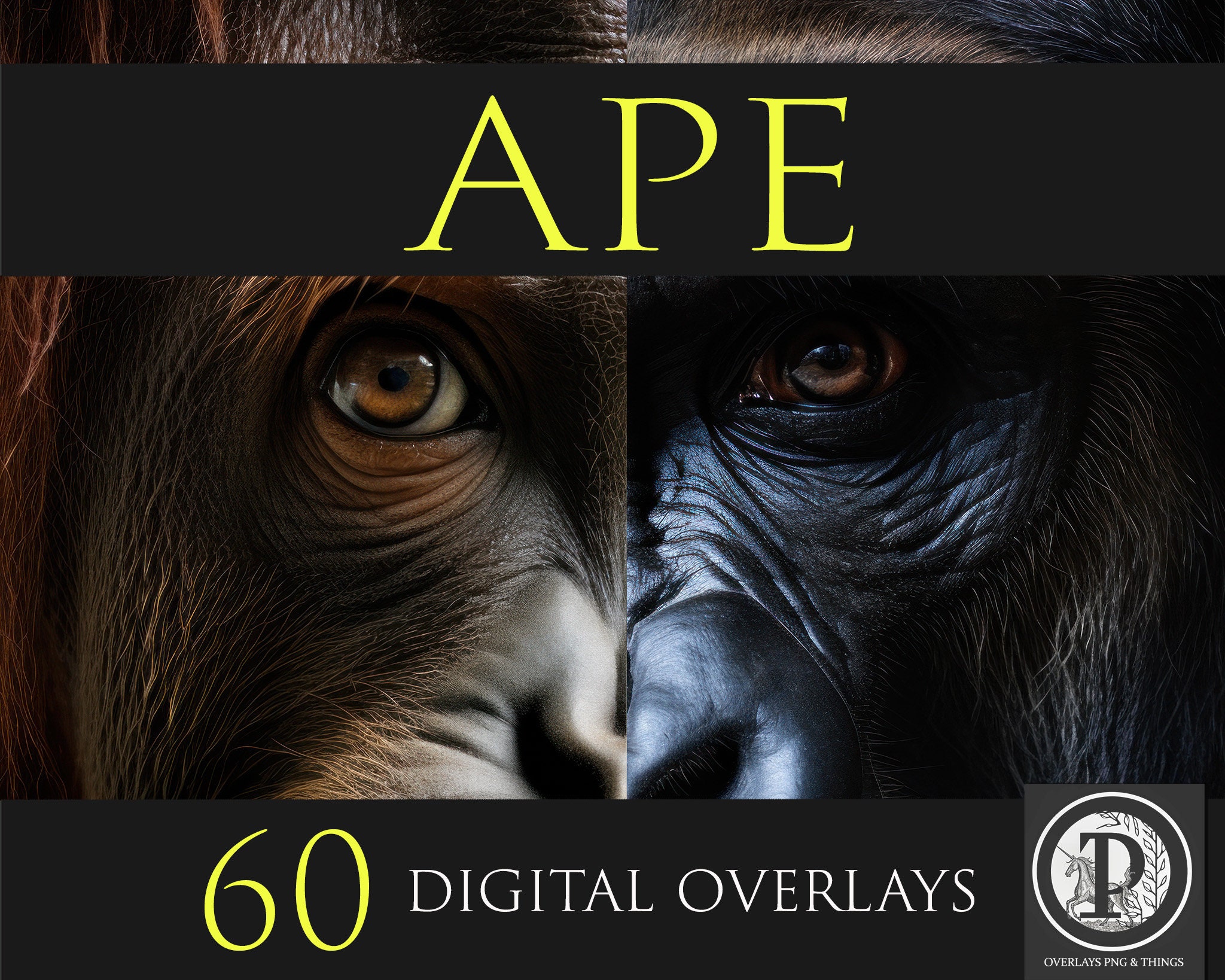 Ape Digital Overlays, PNG Overlays, Animal Clipart, Monkey Overlays ...